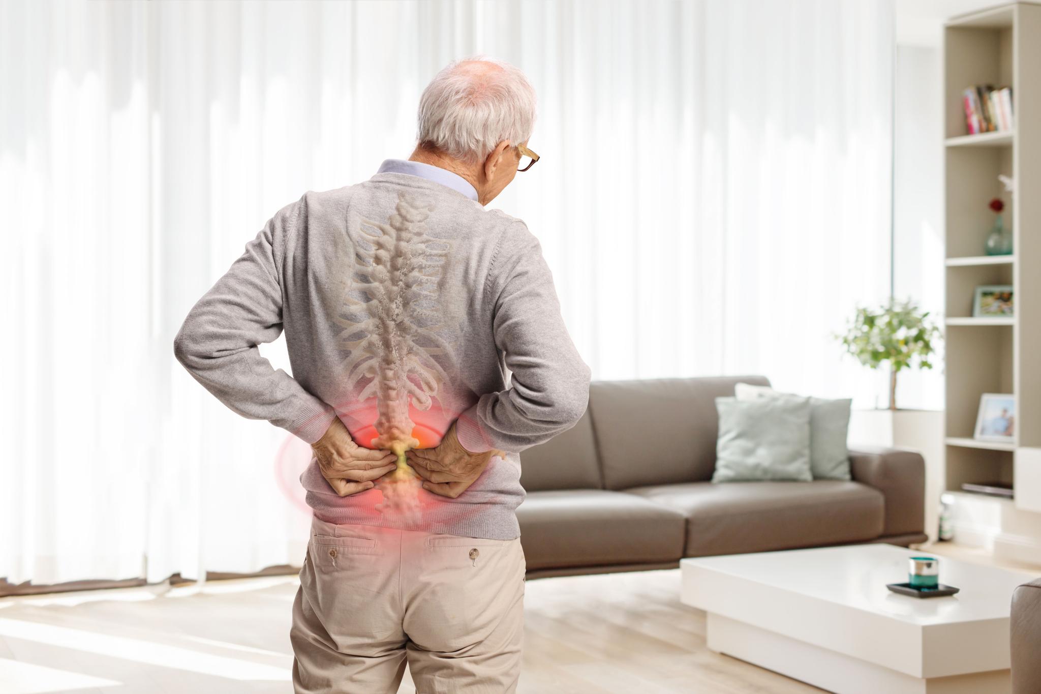 The spinal column: definition and role | Thuasne®
